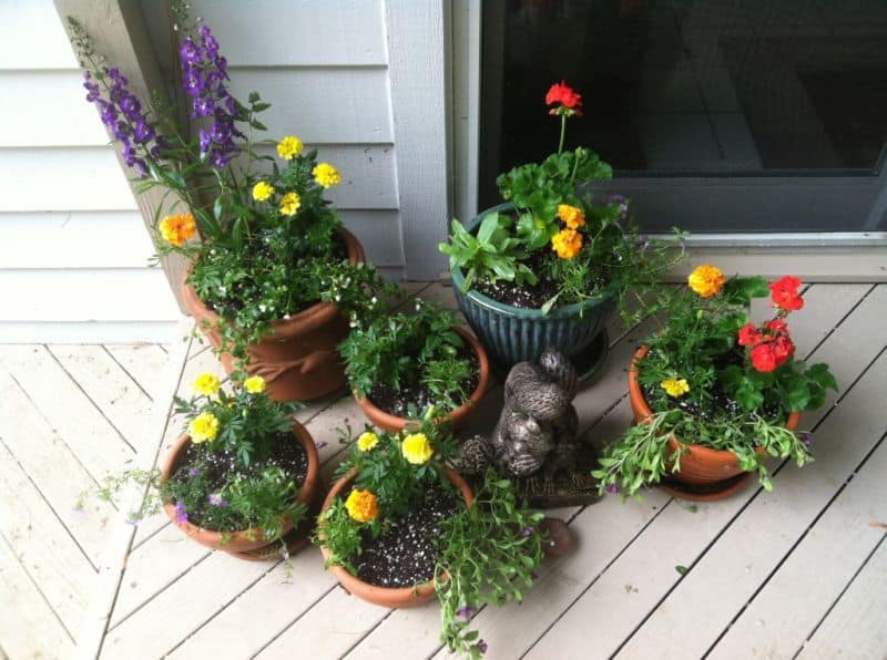 Using Container Gardens to Add Curb Appeal to Your Home - Landscape ...