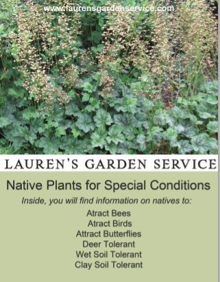 Native Plants of Howard County - Thank You - Landscape Design ...