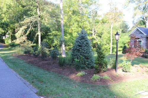 Native Wildlife Privacy Border