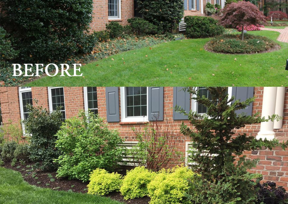 Landscape Design and Upgrades