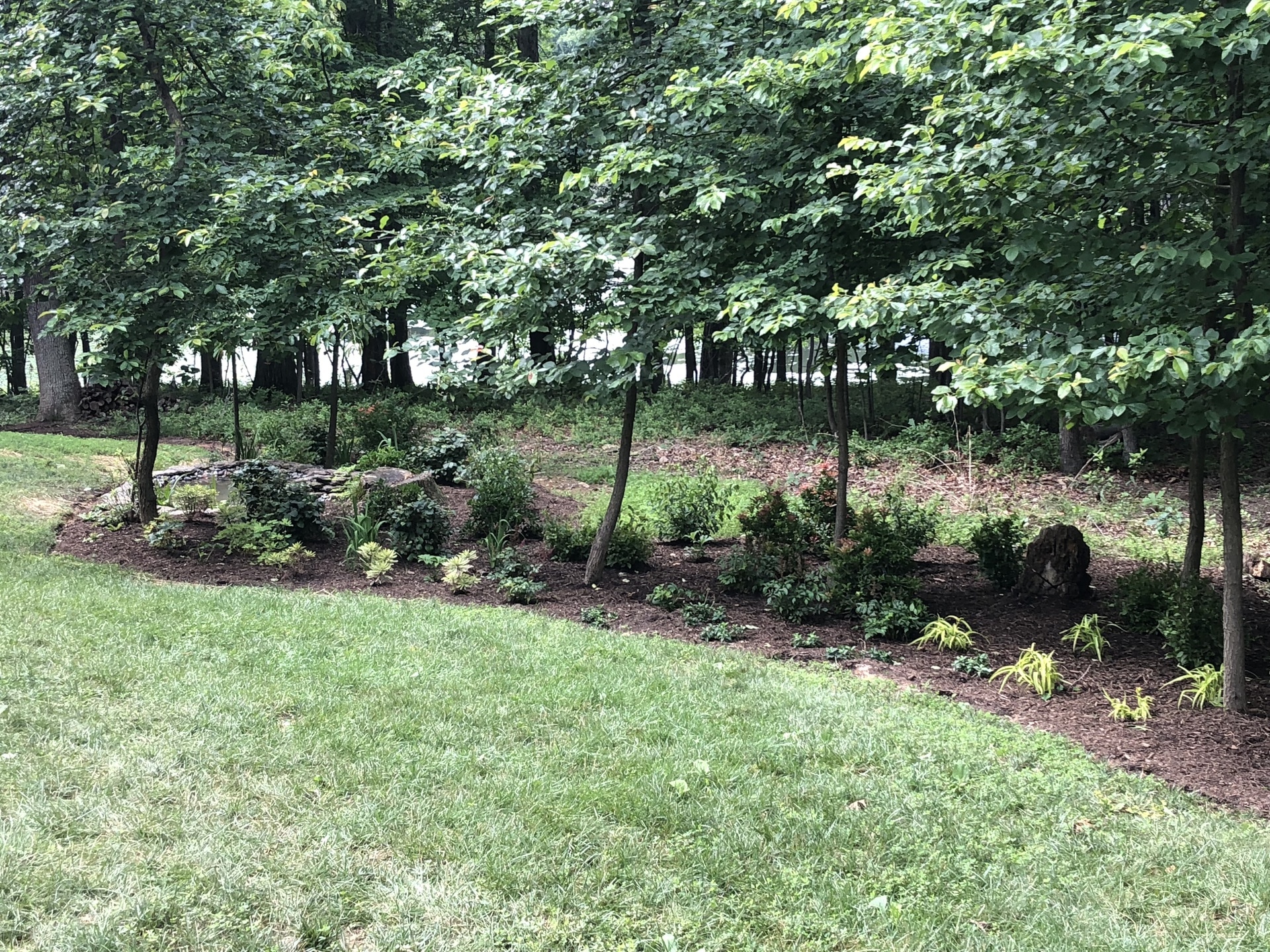Native Woodland Border and Pond in Ellicott City - Landscape Design ...