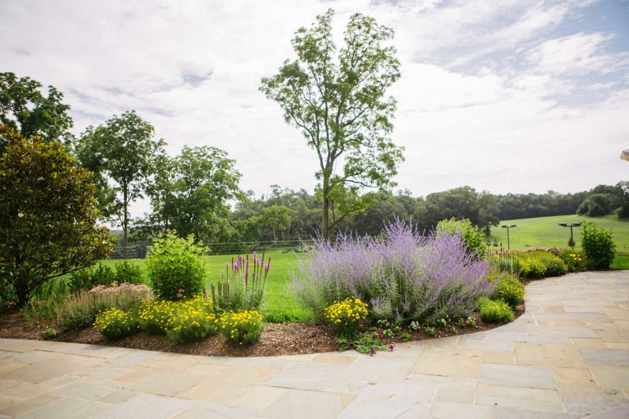 Landscape Design and Upgrades