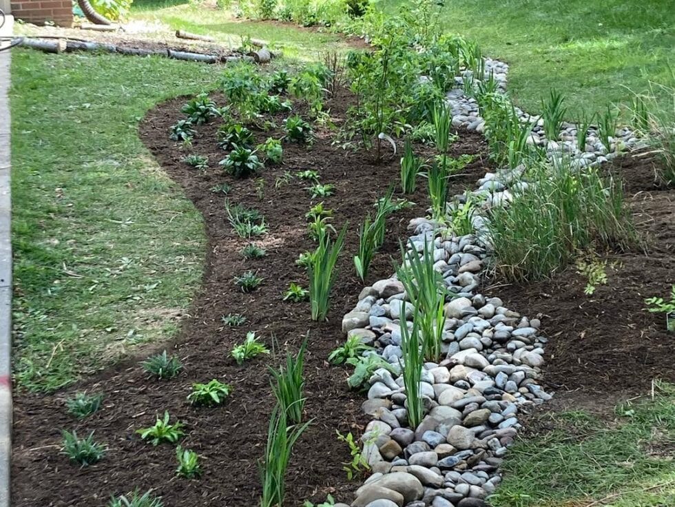 Conservation Landscapes - Landscape Design, Installation, Maintenance ...